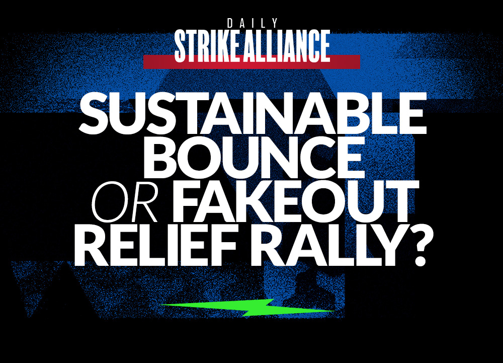 Daily Strike Alliance Daily Strike Alliance